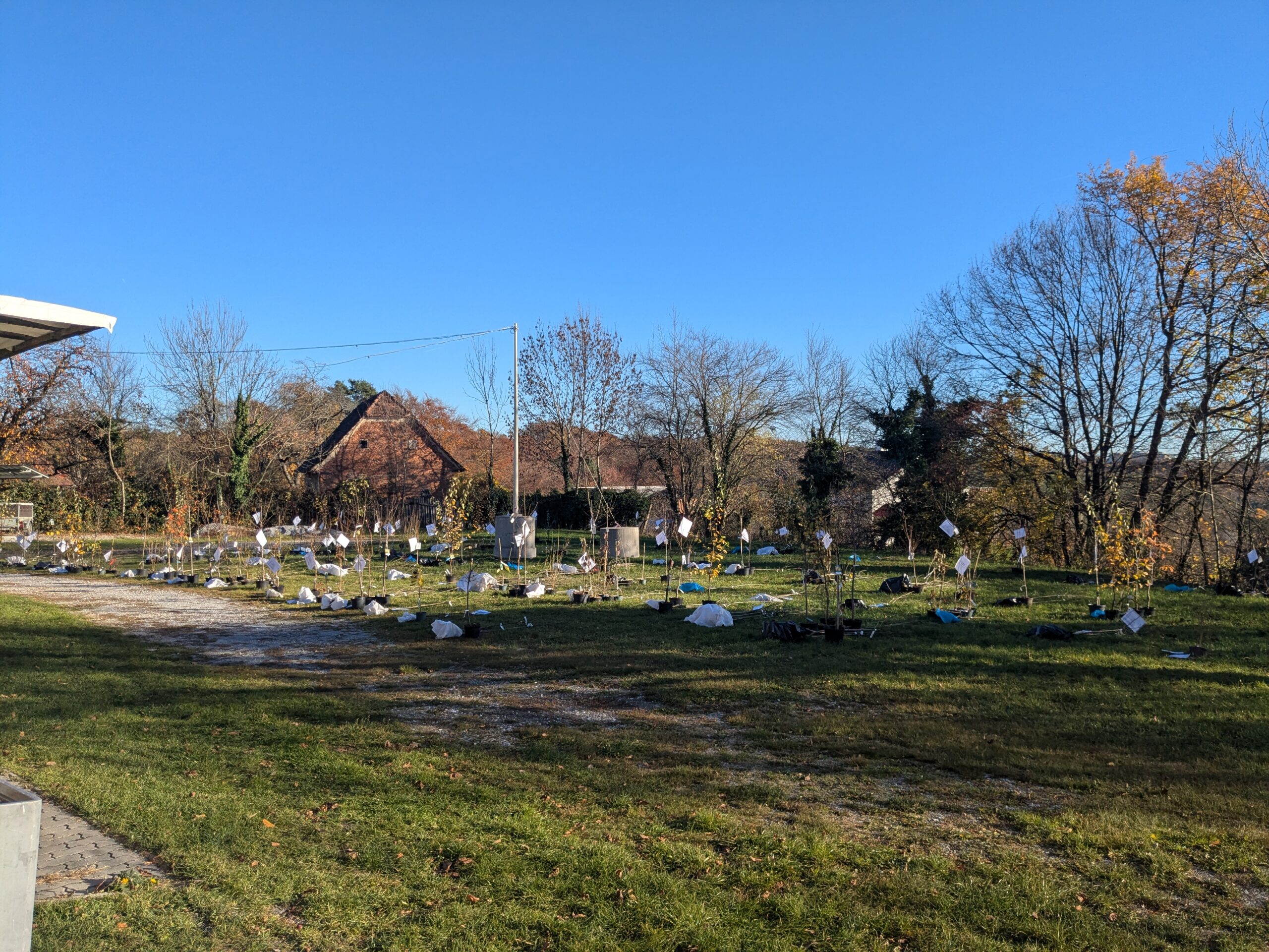 Biodiversitätsaktion 2025 - Nestelbach bei Graz